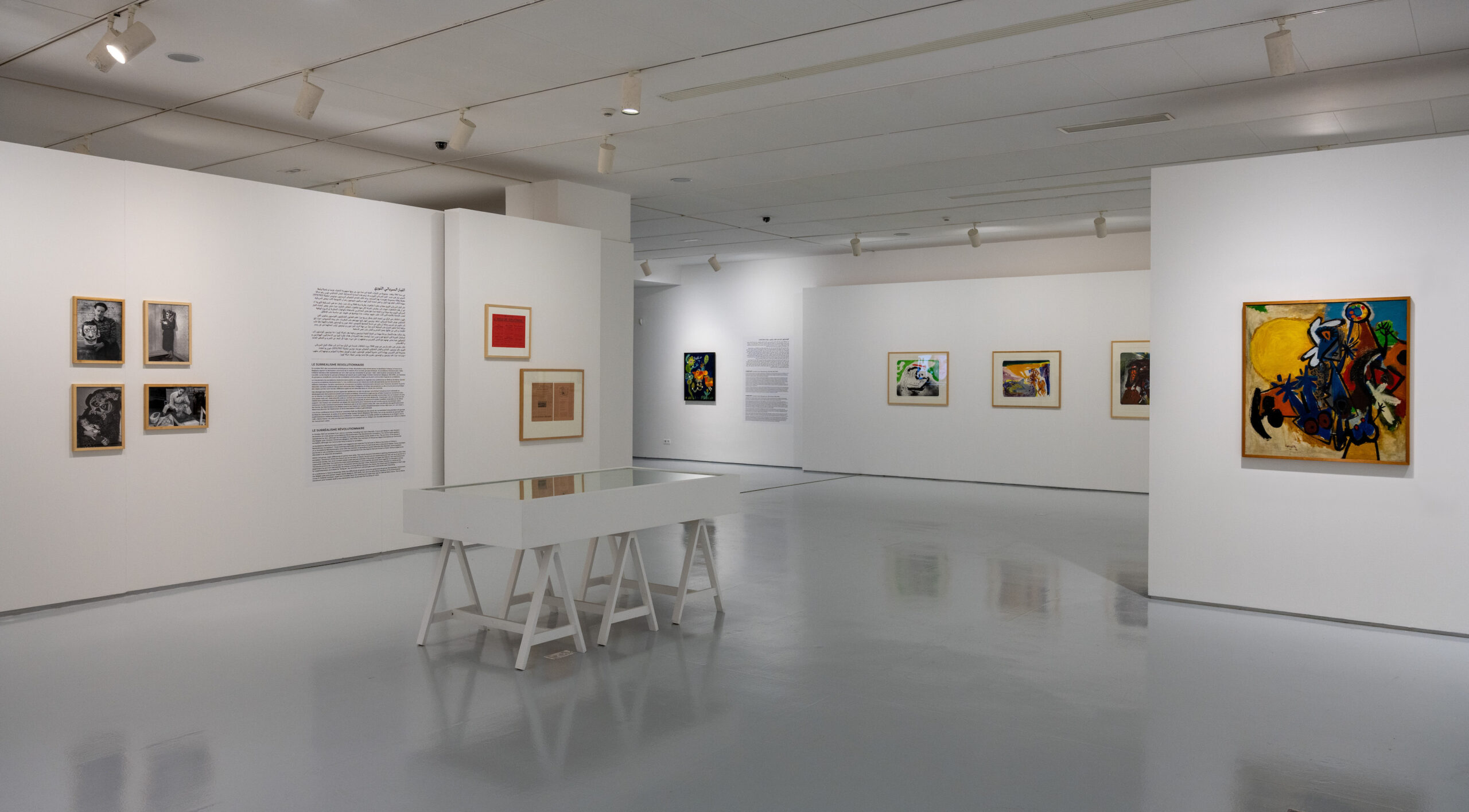 Cobra: A Multi-headed Snake in Rabat, Marokko | Museum Cobra